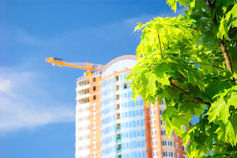 Green Tree and Growing Building. Stock Photo - Image of crane, branch ...