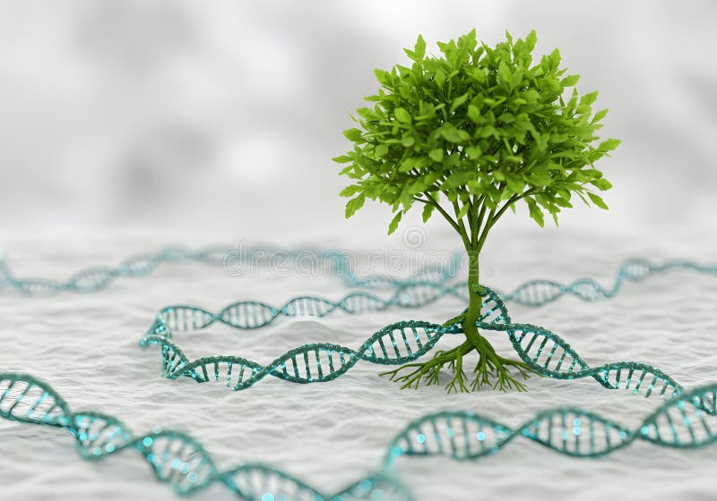 Green Tree Growing on Dna Strands Stock Illustration - Illustration of ...