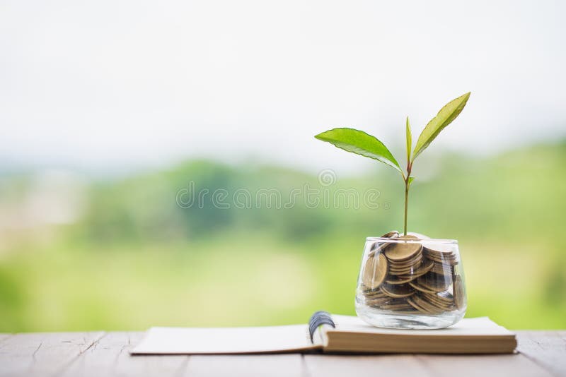 Green Tree Growing on Money Coins, ,saving, Growth, Sustainable ...