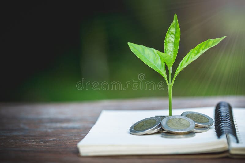 Green Tree Growing on Money Coins, ,saving, Growth, Sustainable ...