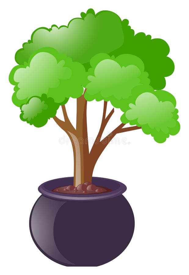 Green Tree Growing in the Pot Stock Illustration - Illustration of clip ...