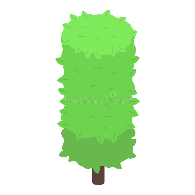 Green Tree Growing in Rectangular Shape Stock Vector - Illustration of ...