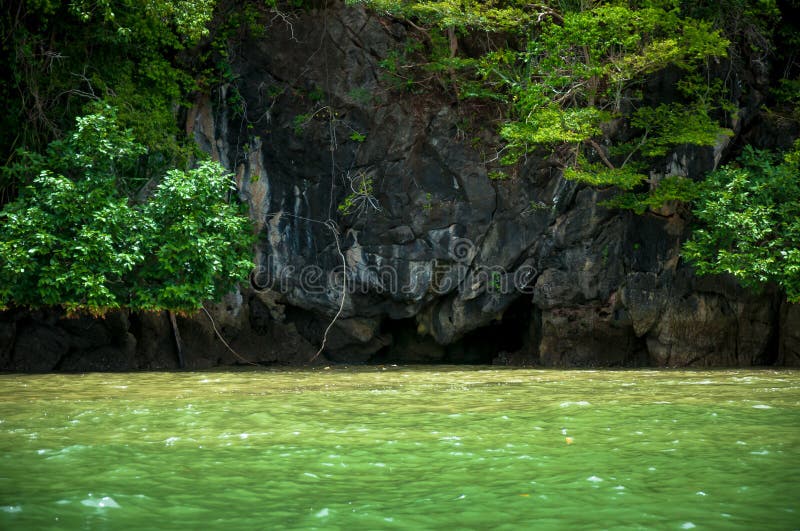 The Green Tree Growth in Rock Cliff with Sea Water Stock Photo - Image ...