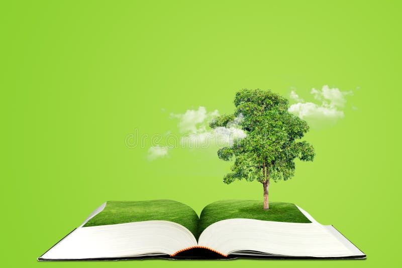 Green Tree Growth Thru from Opened Book. Stock Photo - Image of cover ...