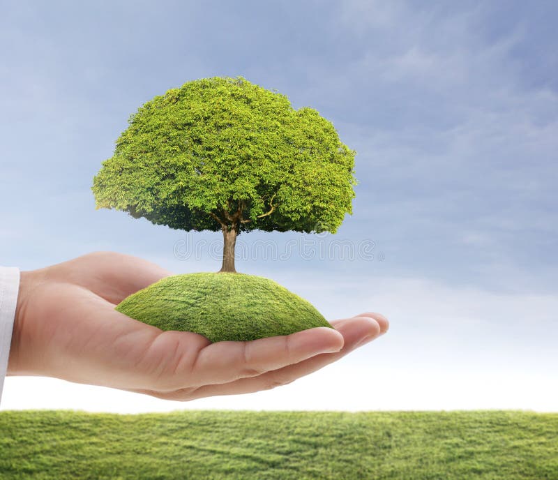 Green tree in hand stock image. Image of agriculture - 31138055