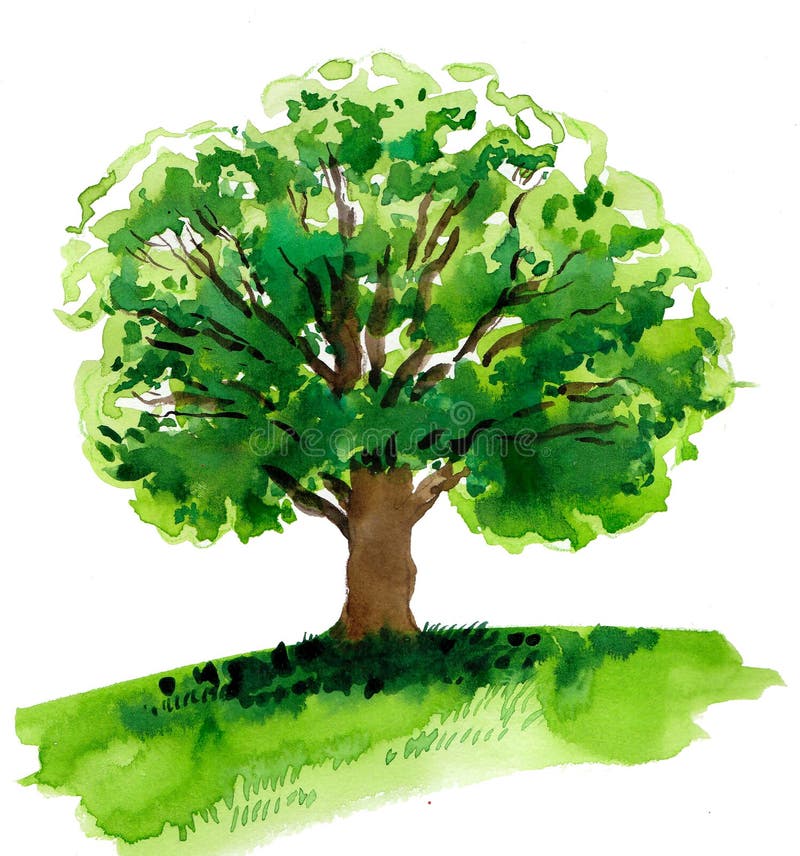 Green tree stock illustration. Illustration of garden - 359375236