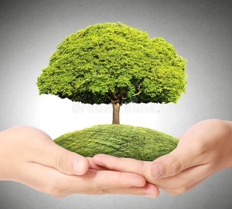 Green tree in hand stock photo. Image of healthy, earth - 34493236