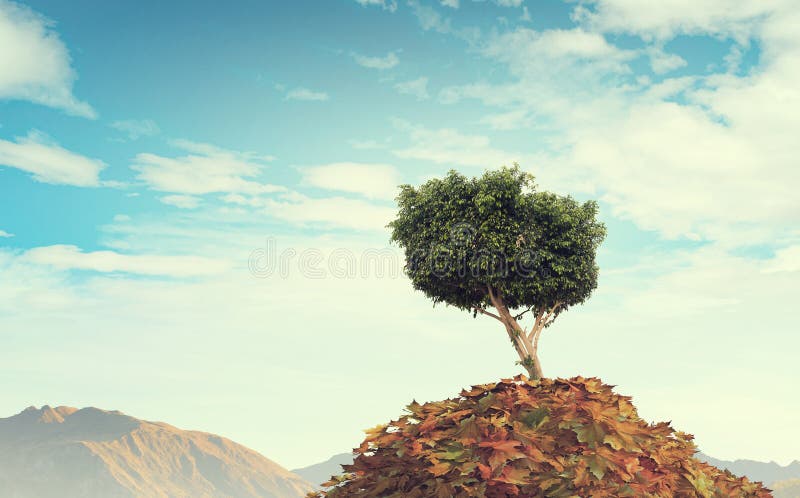 Autumn is Coming. Mixed Media Stock Image - Image of color, tree: 126280845