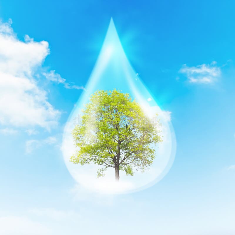 Green Tree Inside a Clean Drop of Water Stock Illustration ...