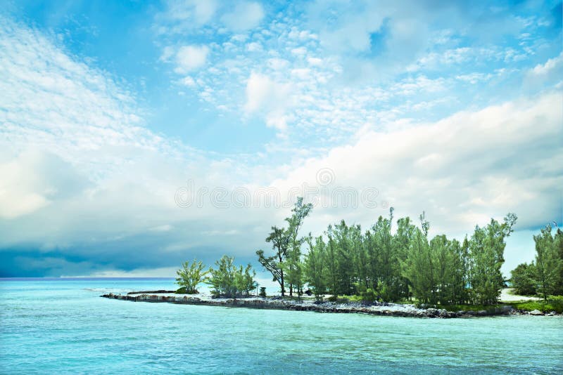 Green Tree Island in the Middle of the Ocean Stock Image - Image of ...