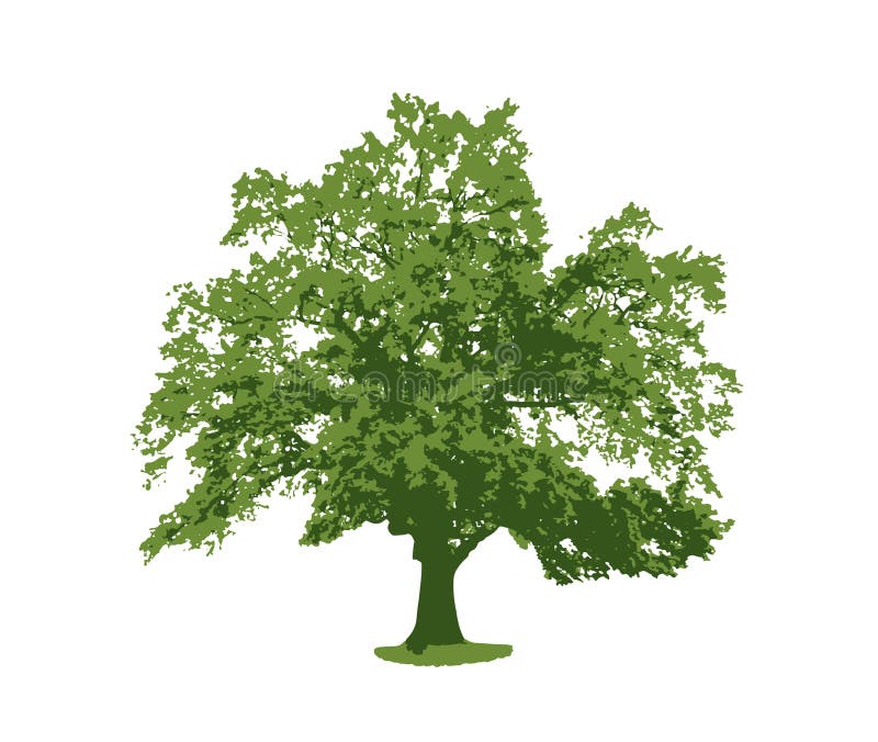 Green Tree Isolated. Vector Stock Vector - Illustration of isolated ...