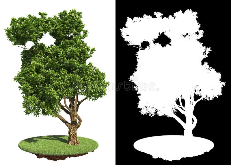 Green Tree Isolated on White Background. Stock Illustration ...