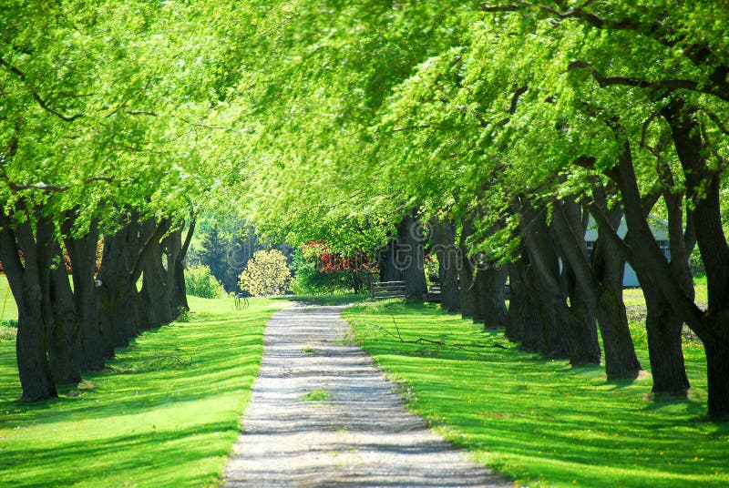 Secret Garden stock photo. Image of enter, countryside - 7517172