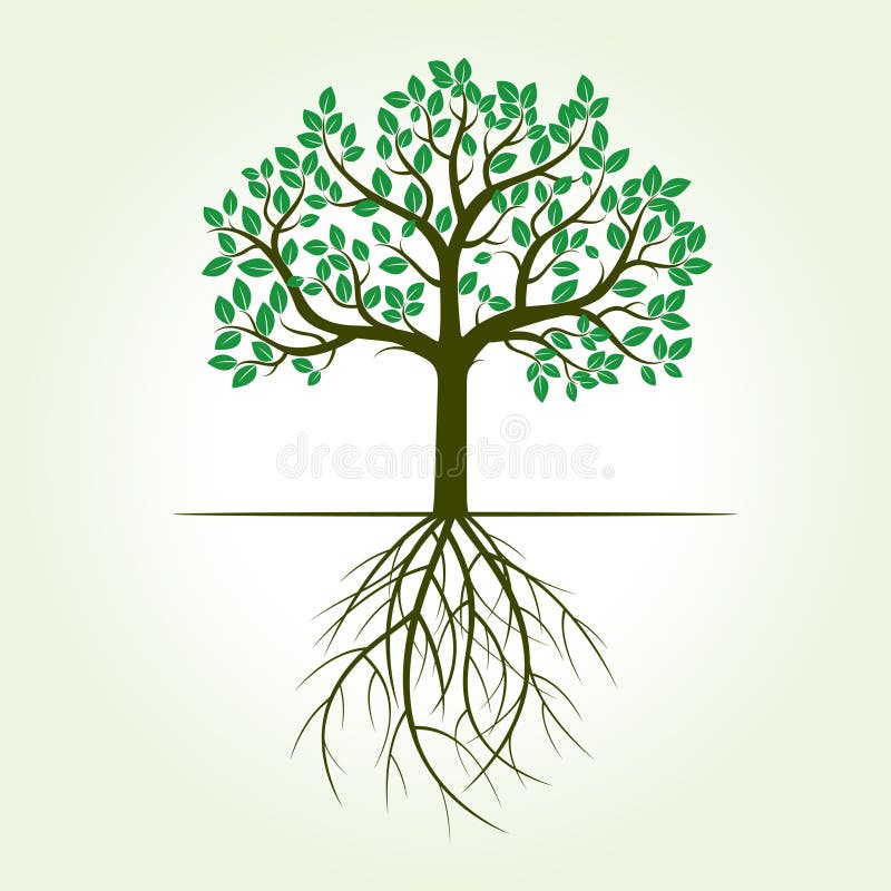 Green Tree and Leafs. Vector Illustration Stock Illustration ...
