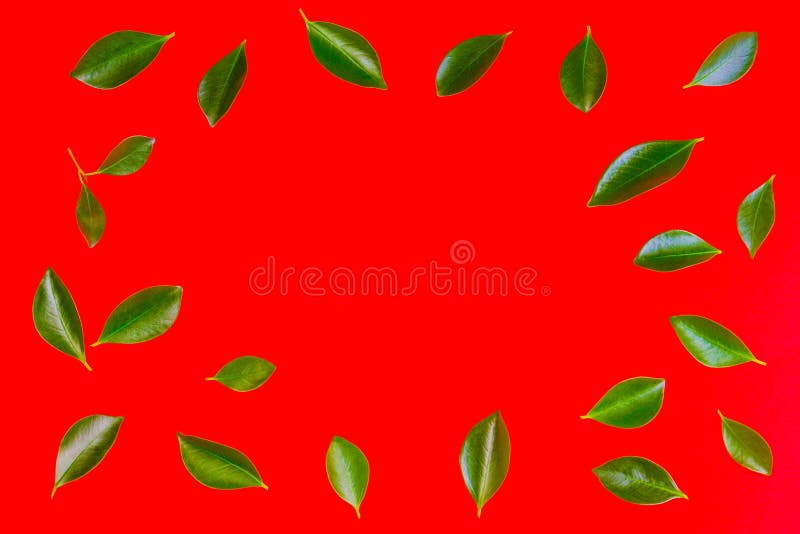 Green Tree Leaves Frame with Red Background Stock Image - Image of ...