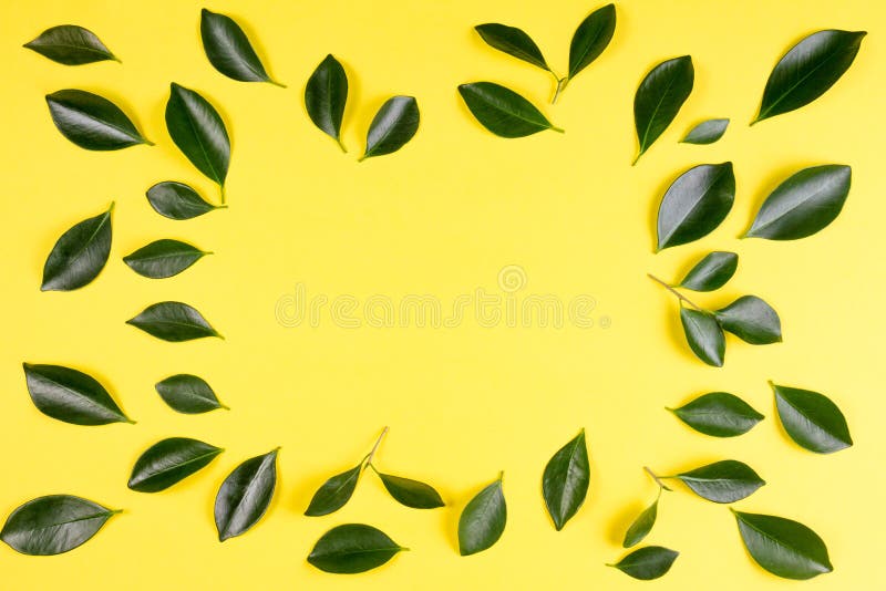 Green Tree Leaves Frame on Yellow Background Stock Photo - Image of ...