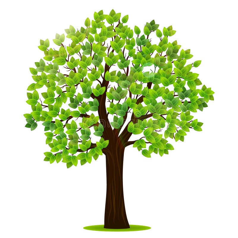 Green tree with leaves stock vector. Illustration of branch - 73493618
