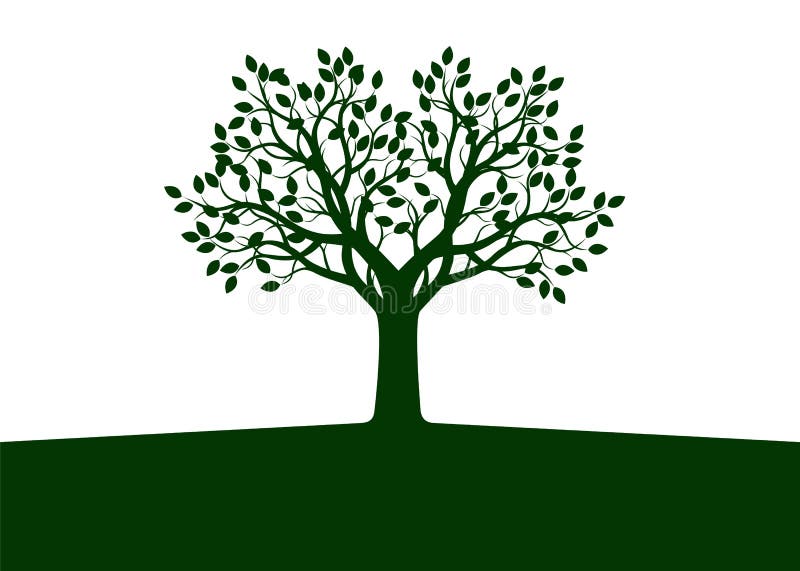 Green Tree with Leaves. Vector Illustration Stock Illustration ...