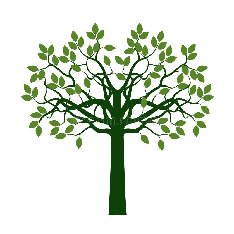 Green Tree with Leaves. Vector Illustration and Graphic Element. Stock ...