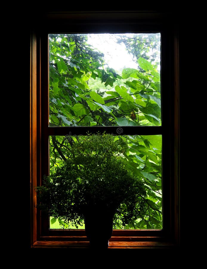 Green Tree Leaves through a Window Stock Image - Image of hike, hiking ...