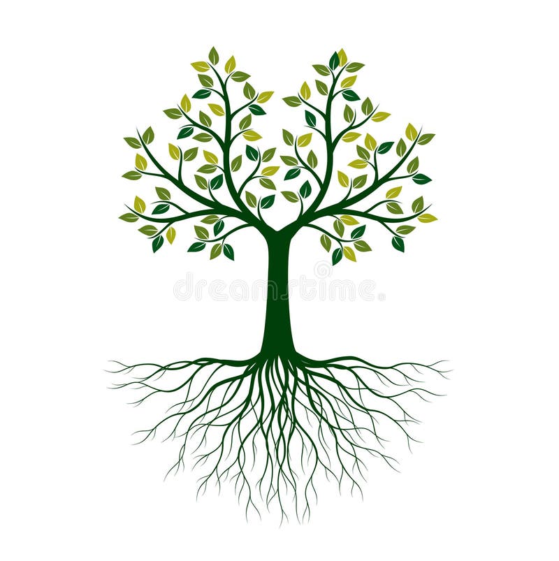 Tree and Roots. Vector Illustration. Stock Illustration - Illustration ...