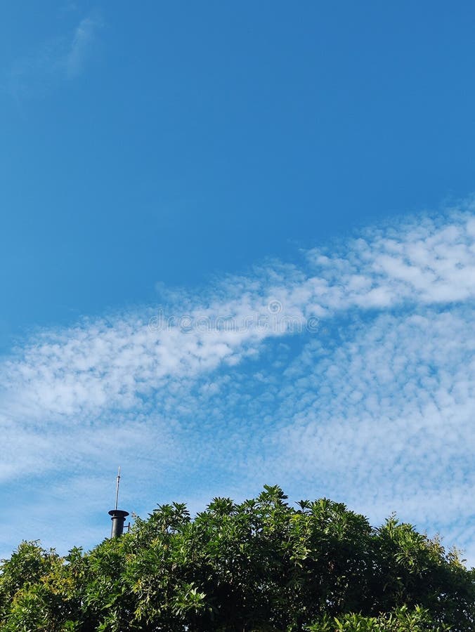 Green Tree with Lightning Rod and Clear Blue Sky and Nice Clouds Stock ...