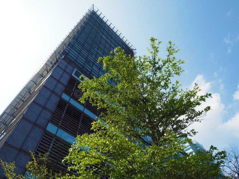 City tree stock image. Image of downtown, building, travel - 114458571