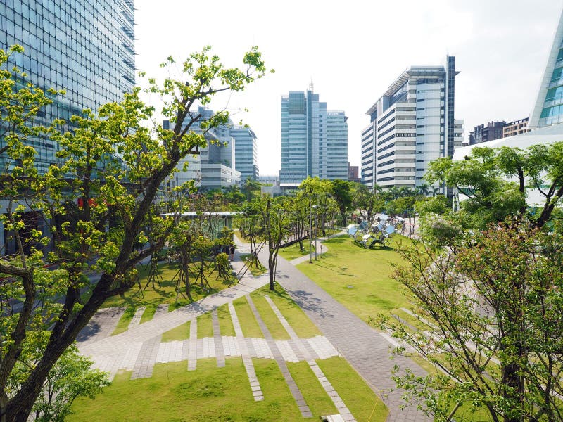 City tree stock photo. Image of district, view, urban - 114458670