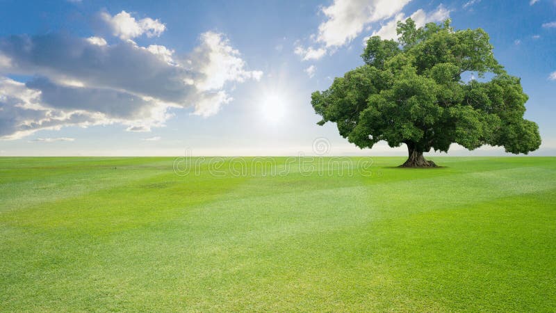 Green Tree Nature Landscape on Cloud. Stock Photo - Image of summer ...