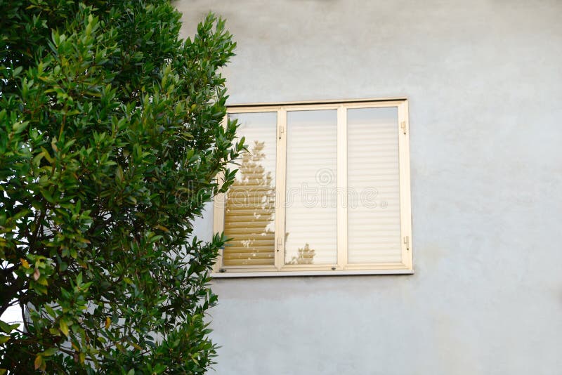 Green Tree Near House with Big Window Stock Image - Image of ...