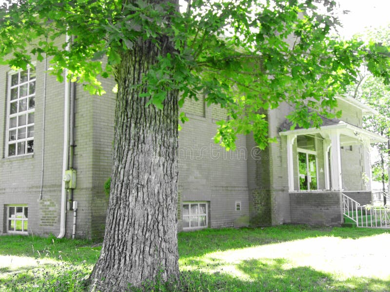 Green tree outside house stock image. Image of tree, grassy - 95139683