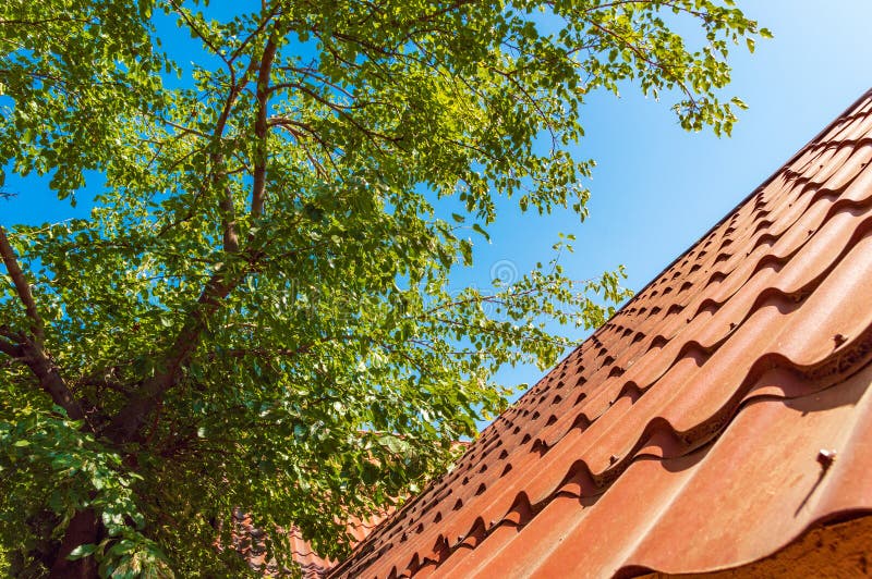 Green Tree Over the Roof of House Stock Image - Image of architecture ...