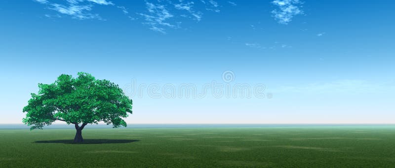 Green_Tree_P stock image. Image of holiday, farmland, outdoors - 1949381