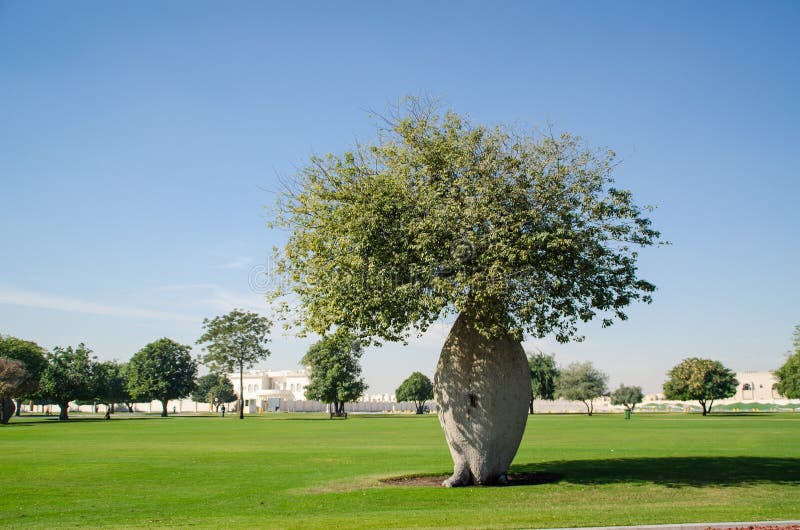 Steel Obelisk in Mia Park at Museum of Islamic Art in Doha, Qatar Stock ...