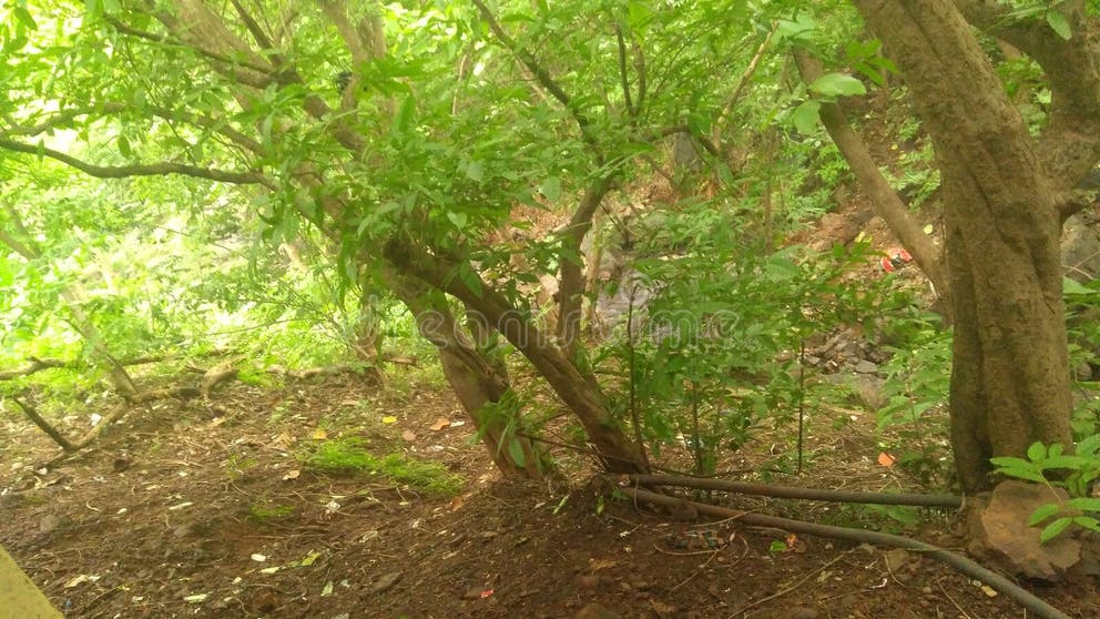 Pic Yhe Globe Stock Photos - Free & Royalty-Free Stock Photos from ...