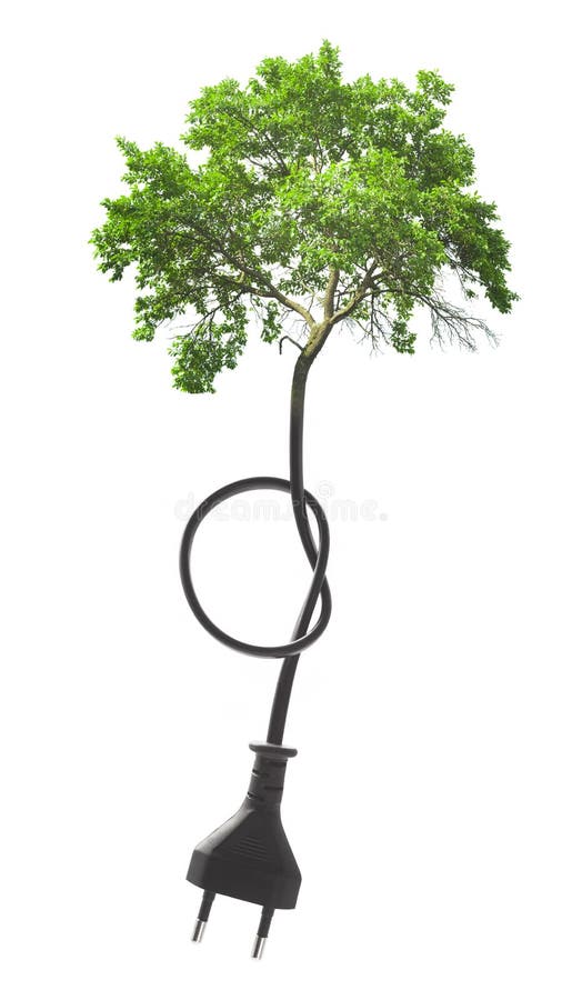 Green Tree and Plug in Wire Concept Stock Photo - Image of data, cable ...