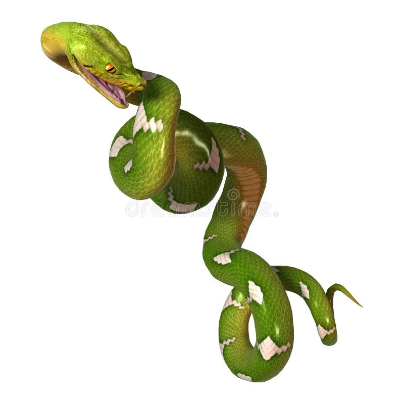Green Tree Python Stock Illustrations – 126 Green Tree Python Stock ...