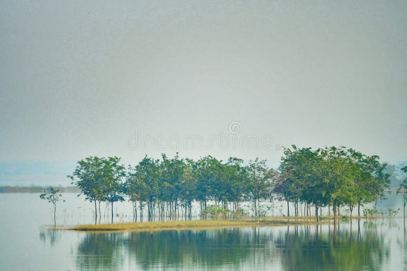 Green Tree is Reflected in the Water, Clouds and Trees Reflecting on ...