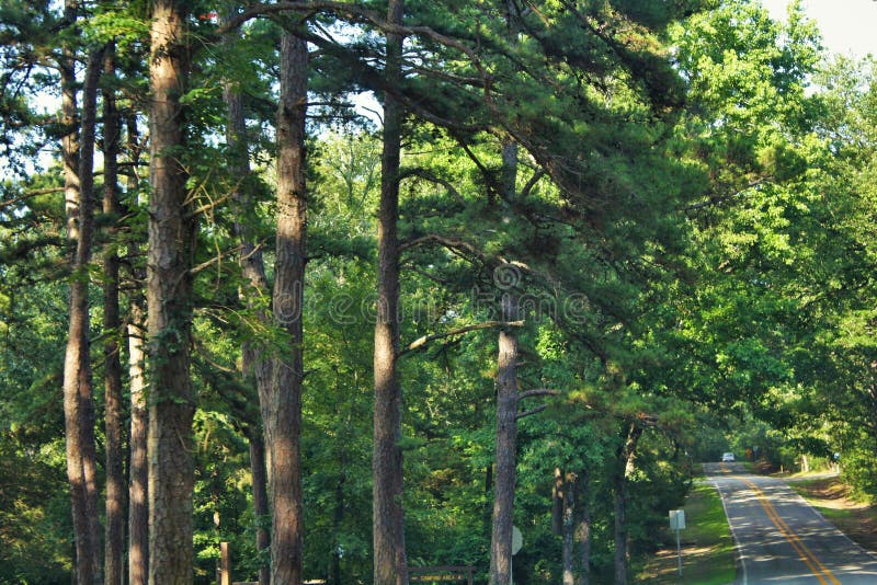 344 Green Road Divider Stock Photos - Free & Royalty-Free Stock Photos ...