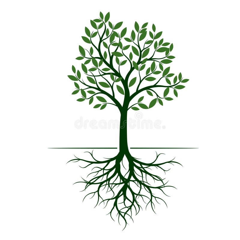 Green Tree with Roots. Vector Illustration. Stock Illustration ...