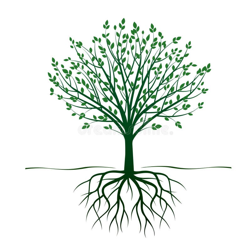 Shape of Tree and Roots. Vector Illustration Stock Vector ...