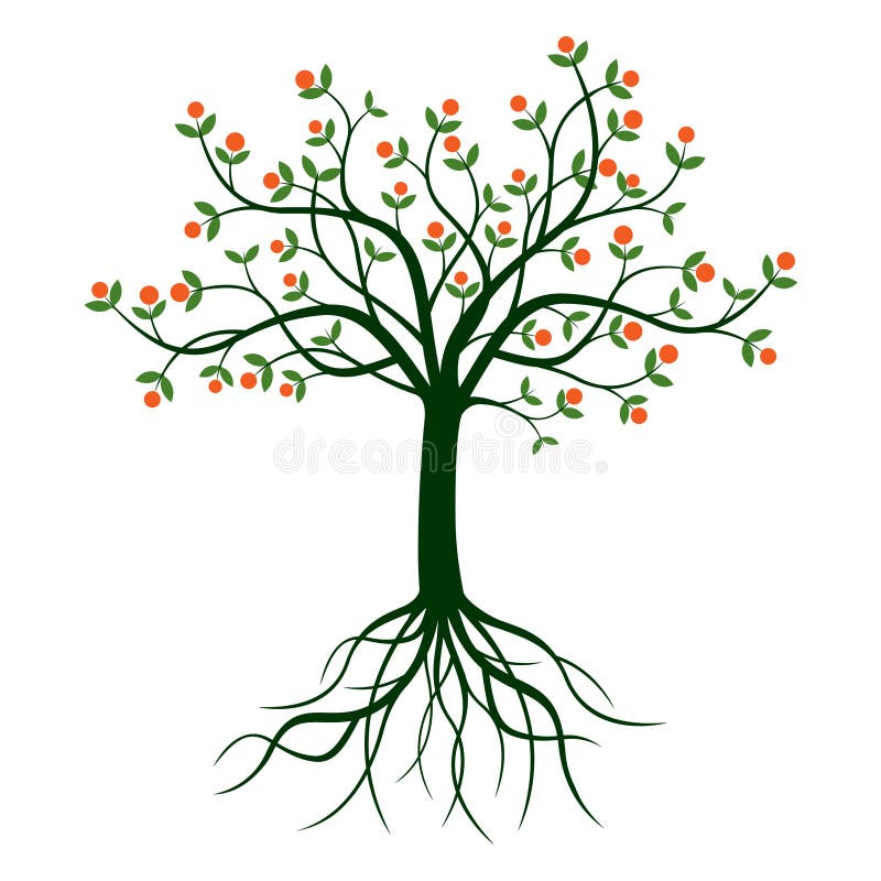 Tree Roots Fruits Stock Illustrations – 767 Tree Roots Fruits Stock ...