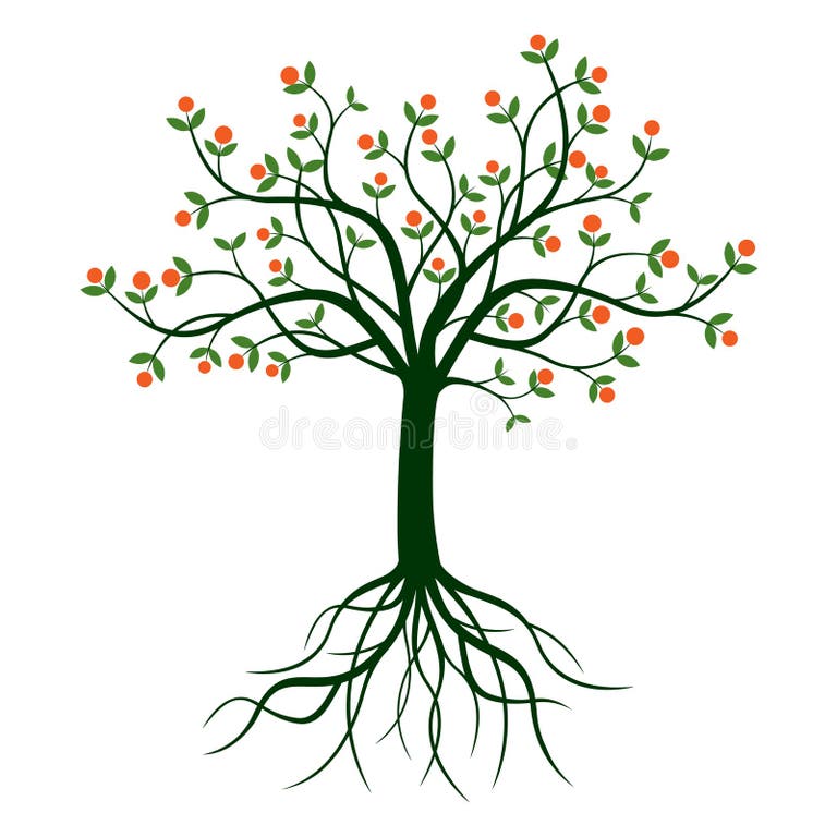 Tree Roots Fruits Stock Illustrations – 854 Tree Roots Fruits Stock ...