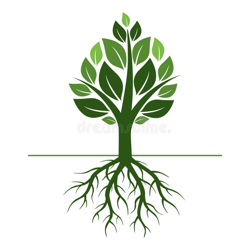 Green Tree and Roots. Vector Illustration. Stock Illustration ...