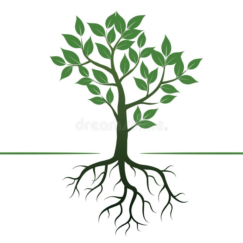 Green Tree and Roots. Vector Illustration Stock Illustration ...