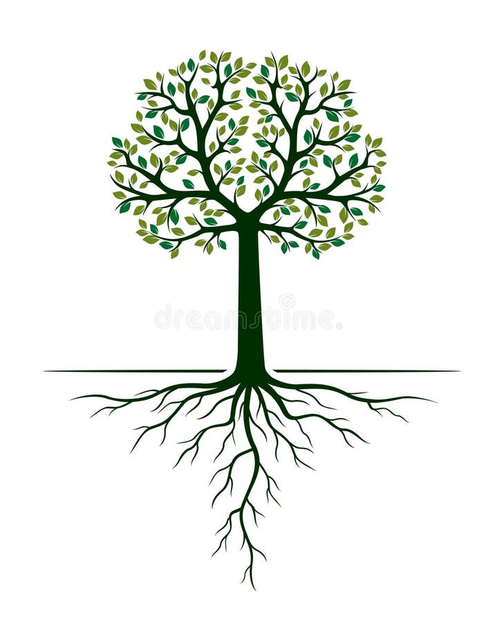 Green Tree Roots Stock Illustrations – 9,529 Green Tree Roots Stock ...