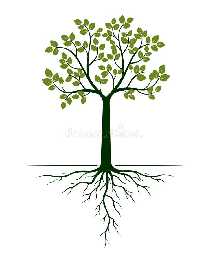 Green Tree and Roots. Vector Illustration Stock Illustration ...