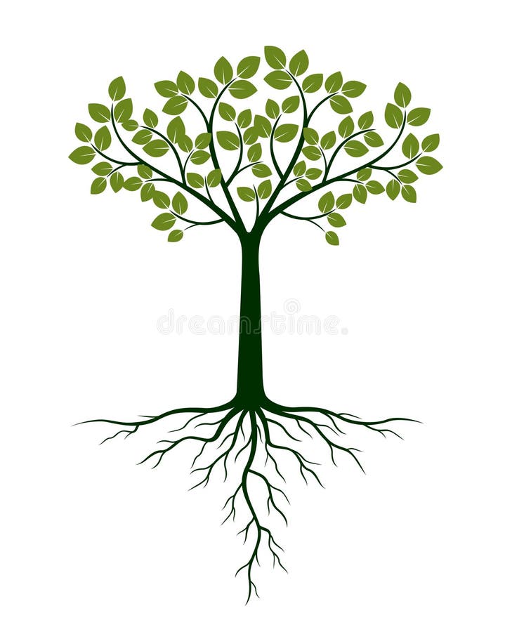 Green Tree and Roots. Vector Illustration Stock Vector - Illustration ...
