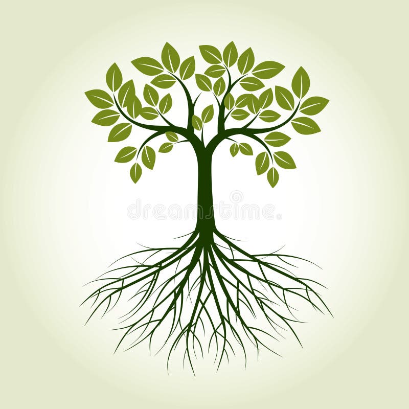 Green Tree and Roots. Vector Illustration Stock Vector - Illustration ...