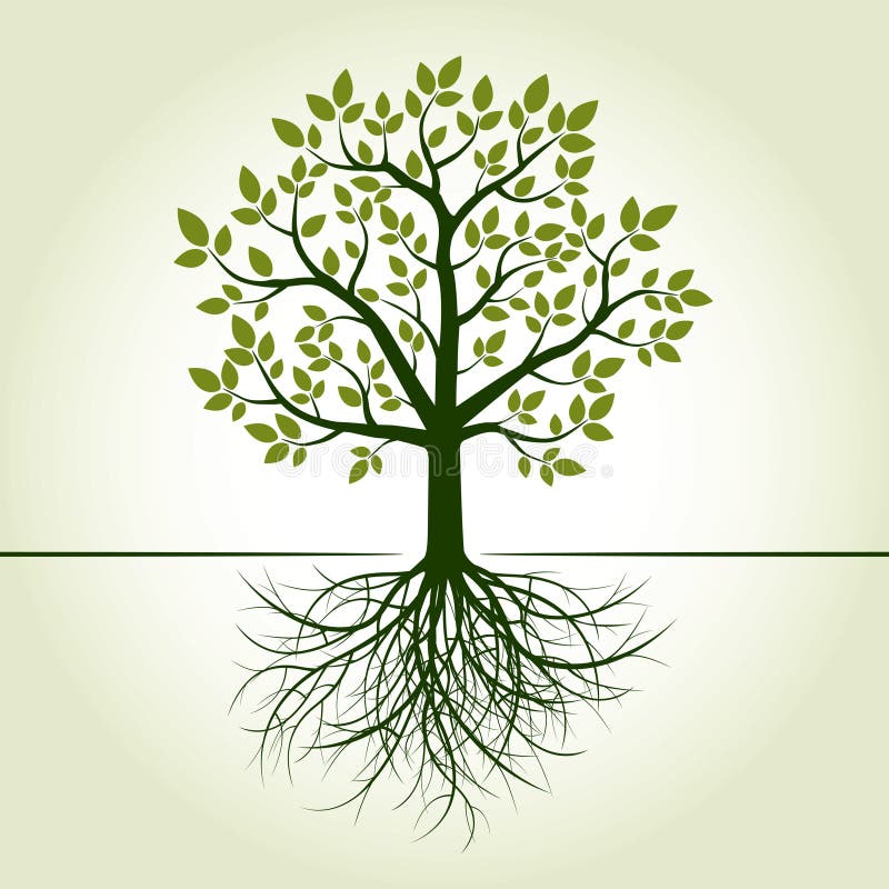 Green Tree and Roots. Vector Illustration Stock Vector - Illustration ...